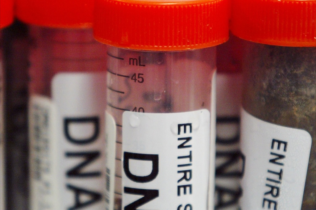 Remains of 9/11 victim, Anna Laverty, identified - The World from PRX