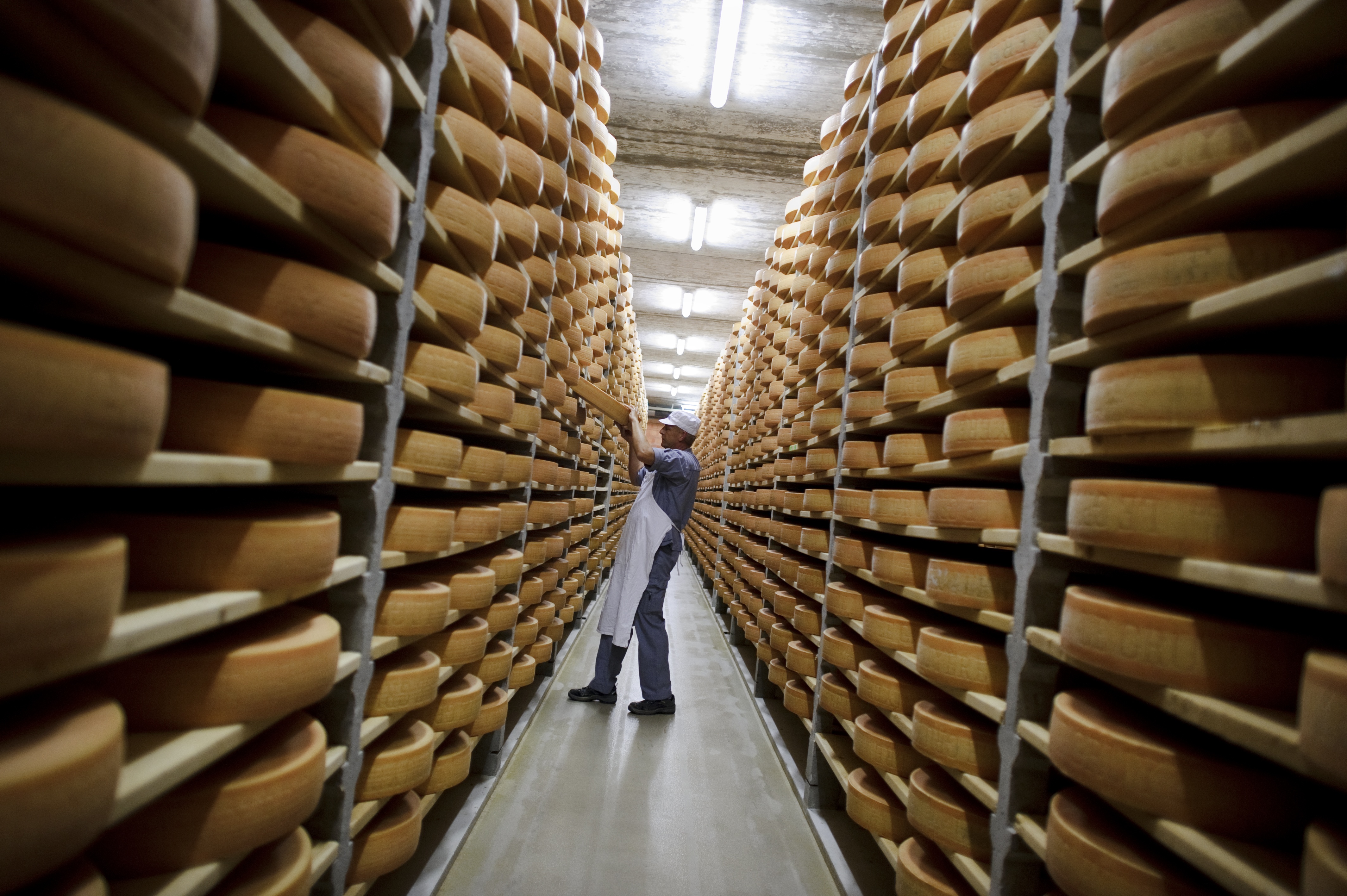 Inside Canada's cheese-smuggling problem (VIDEO) - The World from PRX