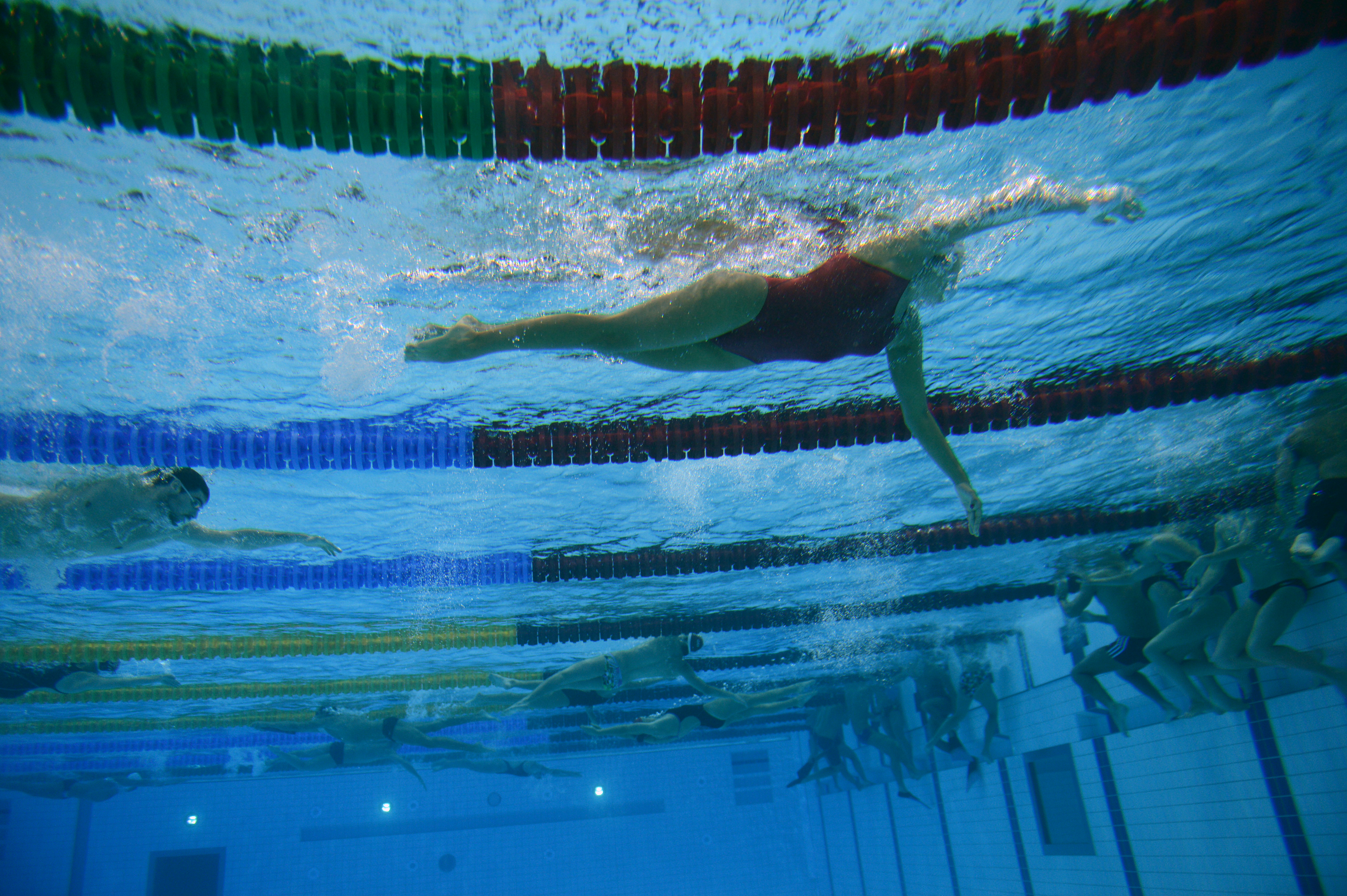 Rick Curl sex abuse scandal spurs USA Swimming hearing - The World from PRX