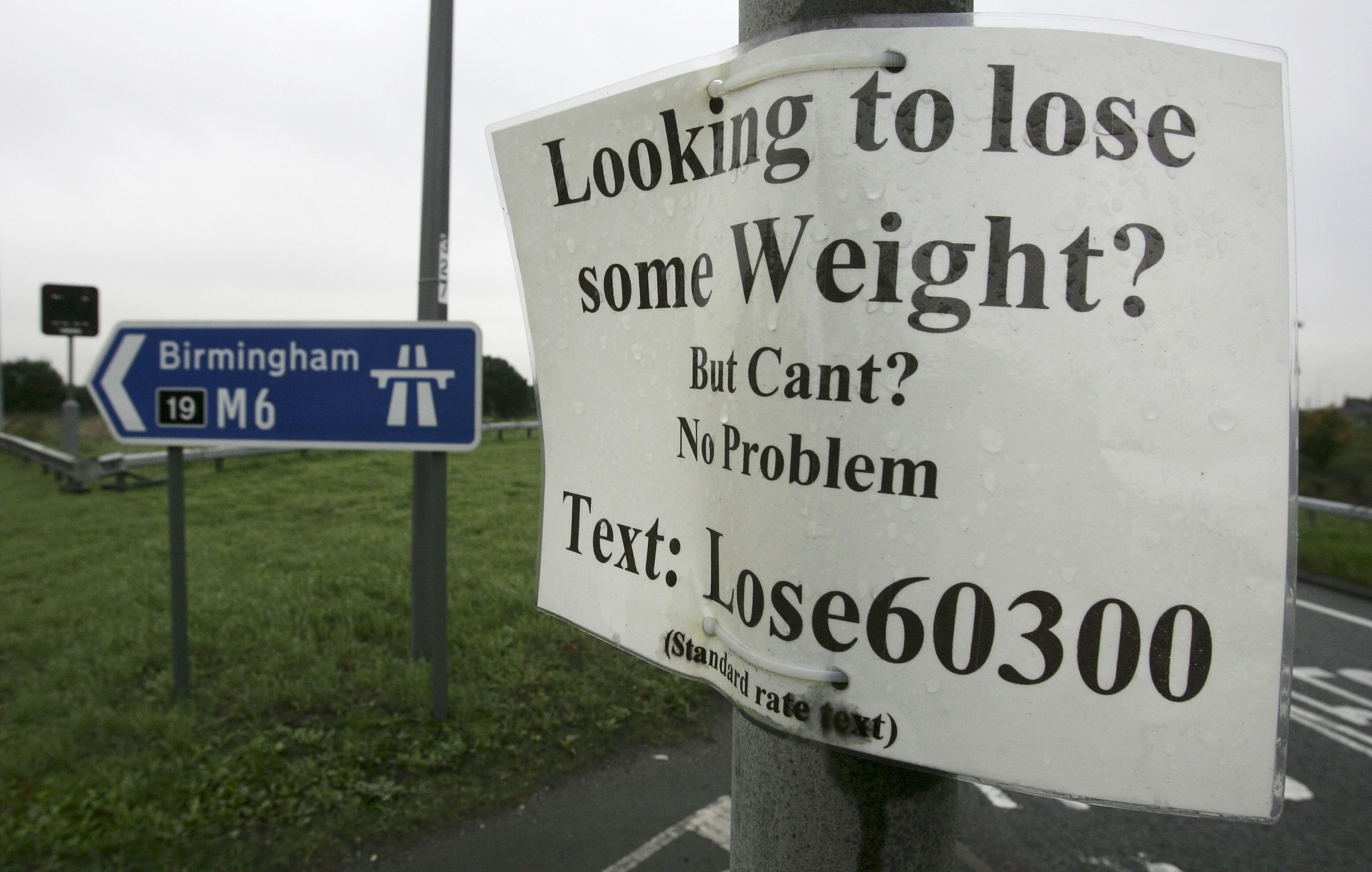 Driving while fat is extra dangerous, study shows - The World from PRX