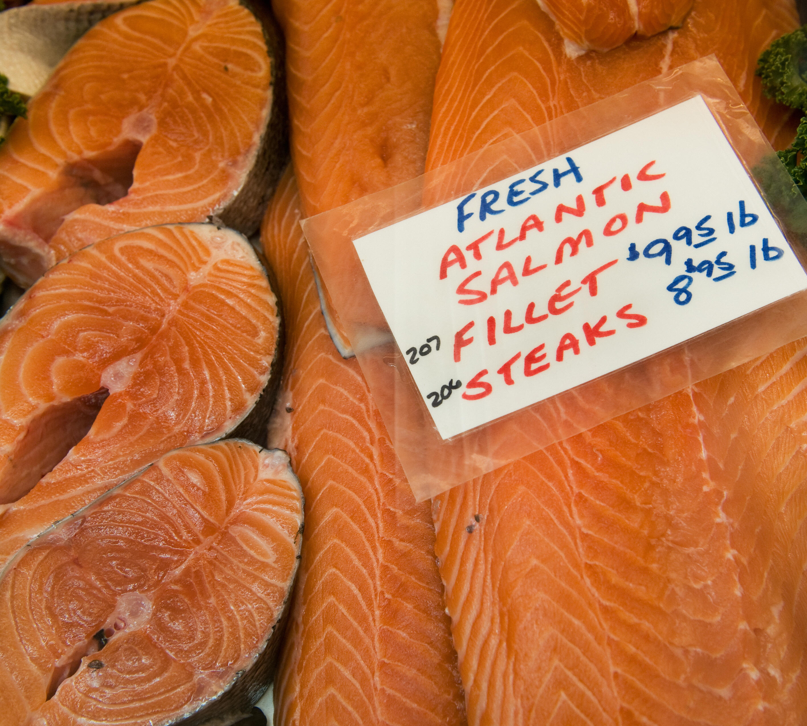 AquAdvantage biotech salmon moves step closer to FDA approval - The ...