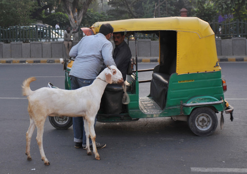 Bajaj Auto unveils 'four-wheeled rickshaw' - The World from PRX
