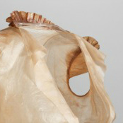 Grow Your Own Clothes - The World from PRX