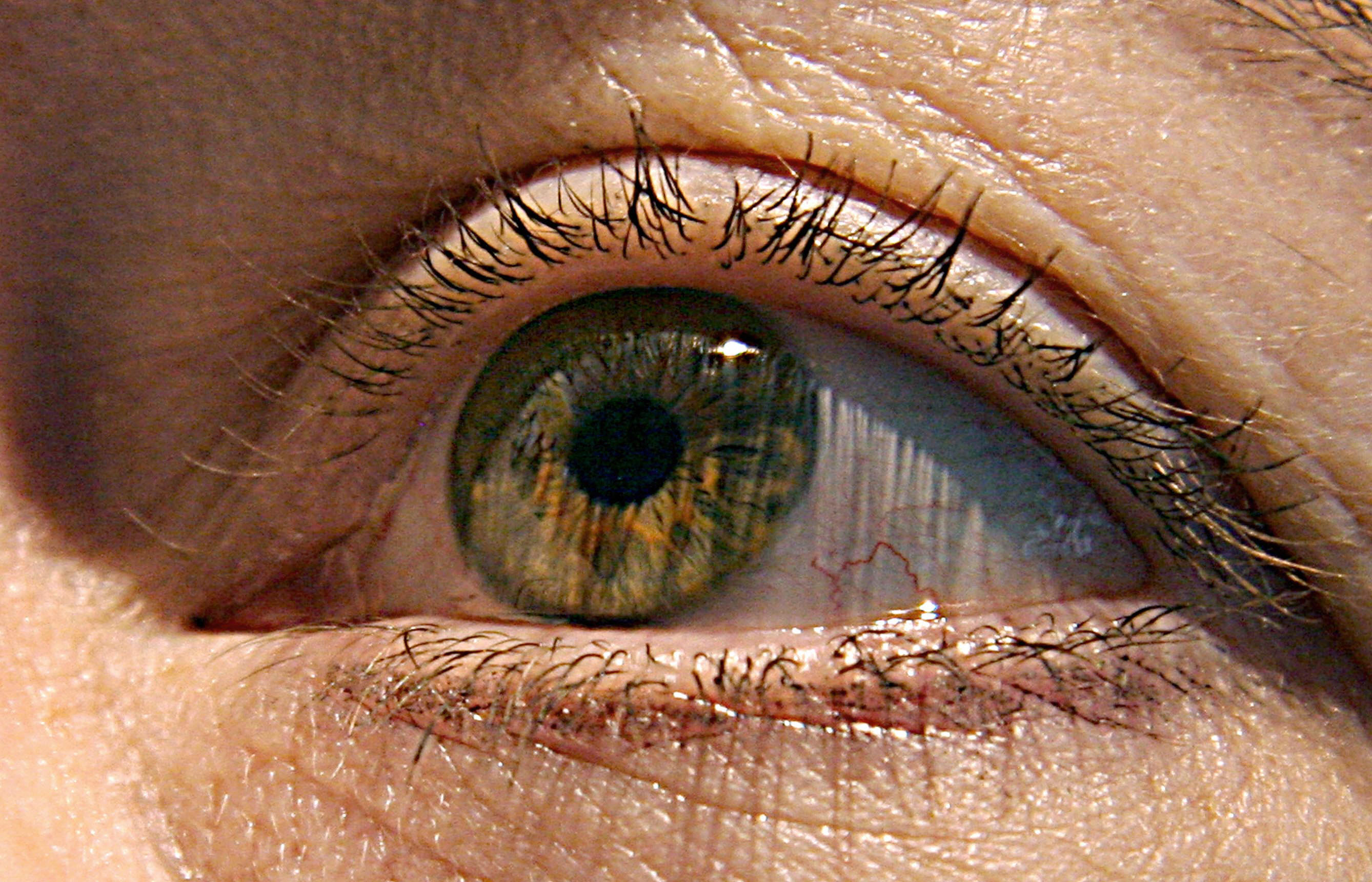 British man implanted with bionic eye (VIDEO) - The World from PRX