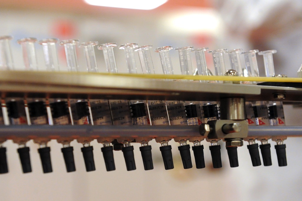 "Black Madam" Padge Victoria Windslowe arrested for giving toxic butt ...