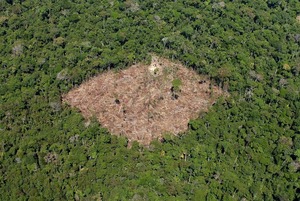 Brazil's rainforest faces new threats - The World from PRX