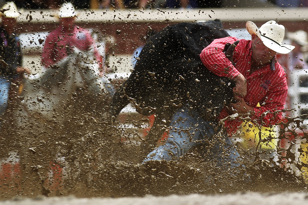 Calgary Stampede turns 100, Bob Barker says shut it down - The World ...
