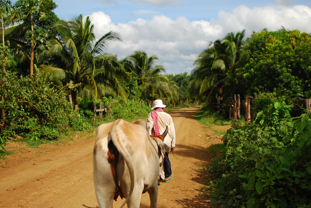 Cambodia: Samlot - The World from PRX