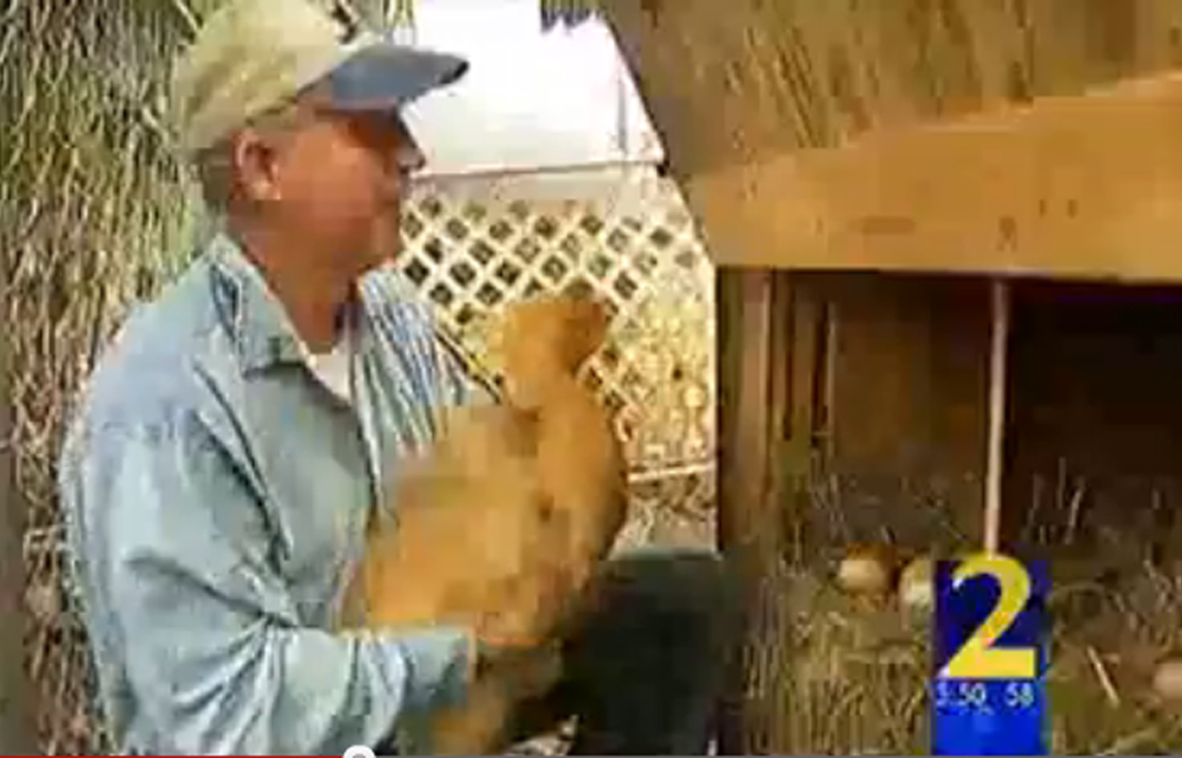 Blast rocks home of Andrew Wordes, Georgia's 'Chicken Man' - The World ...