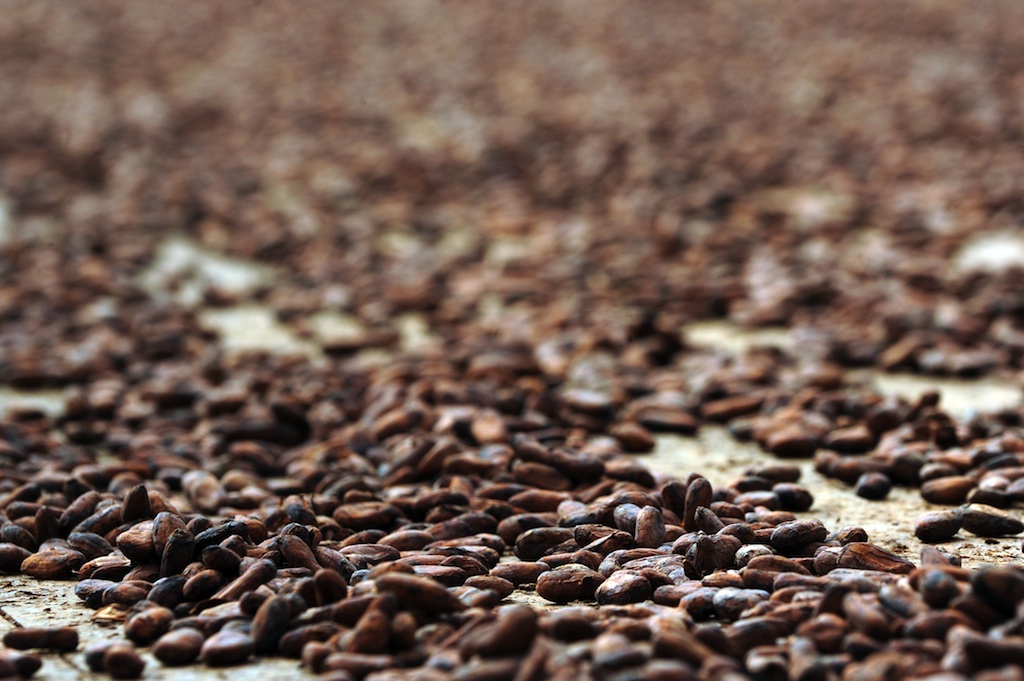 Mayans may have used chocolate as a condiment, experts say - The World ...