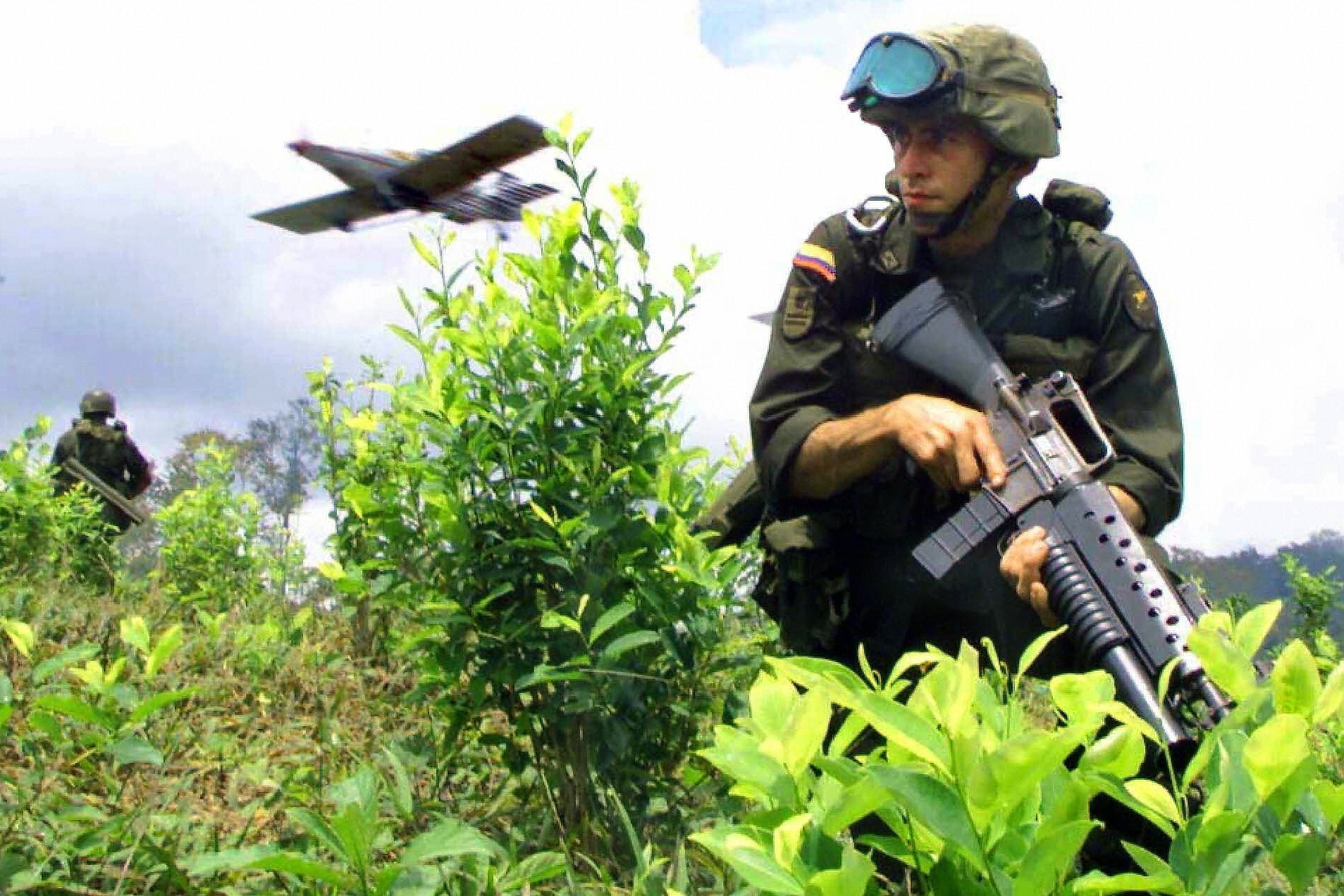 Colombia could legalize drug crops - The World from PRX