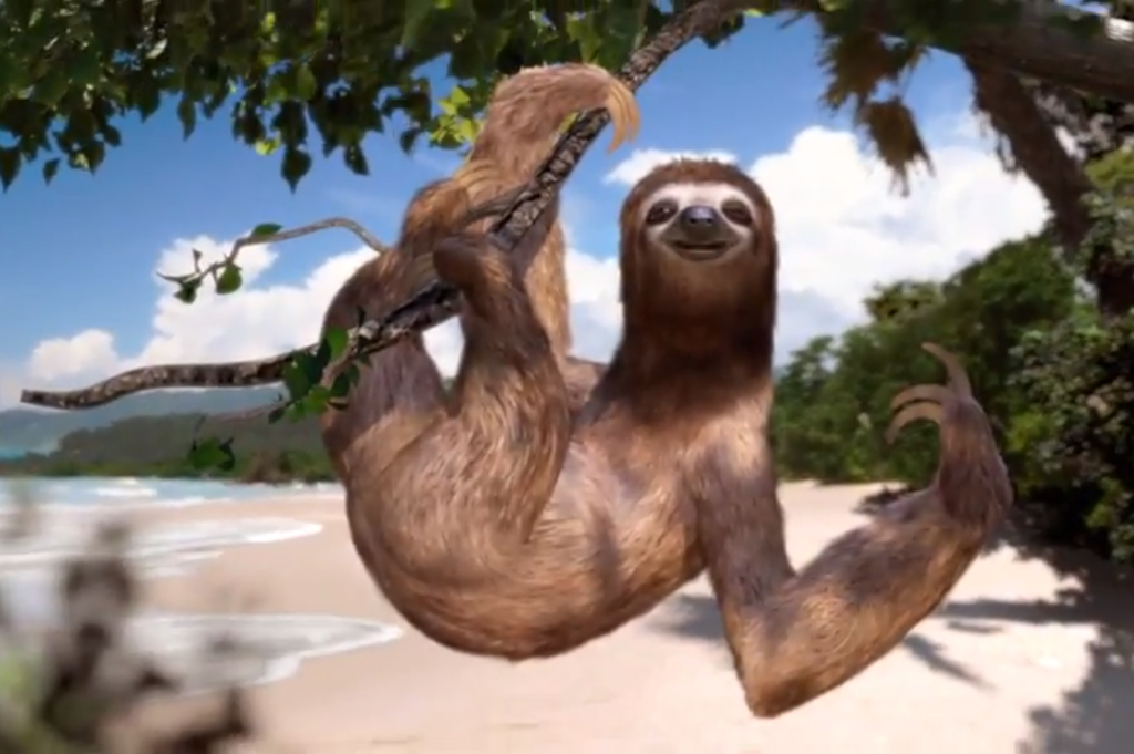 Costa Rica's talking sloth a hit in US - The World from PRX