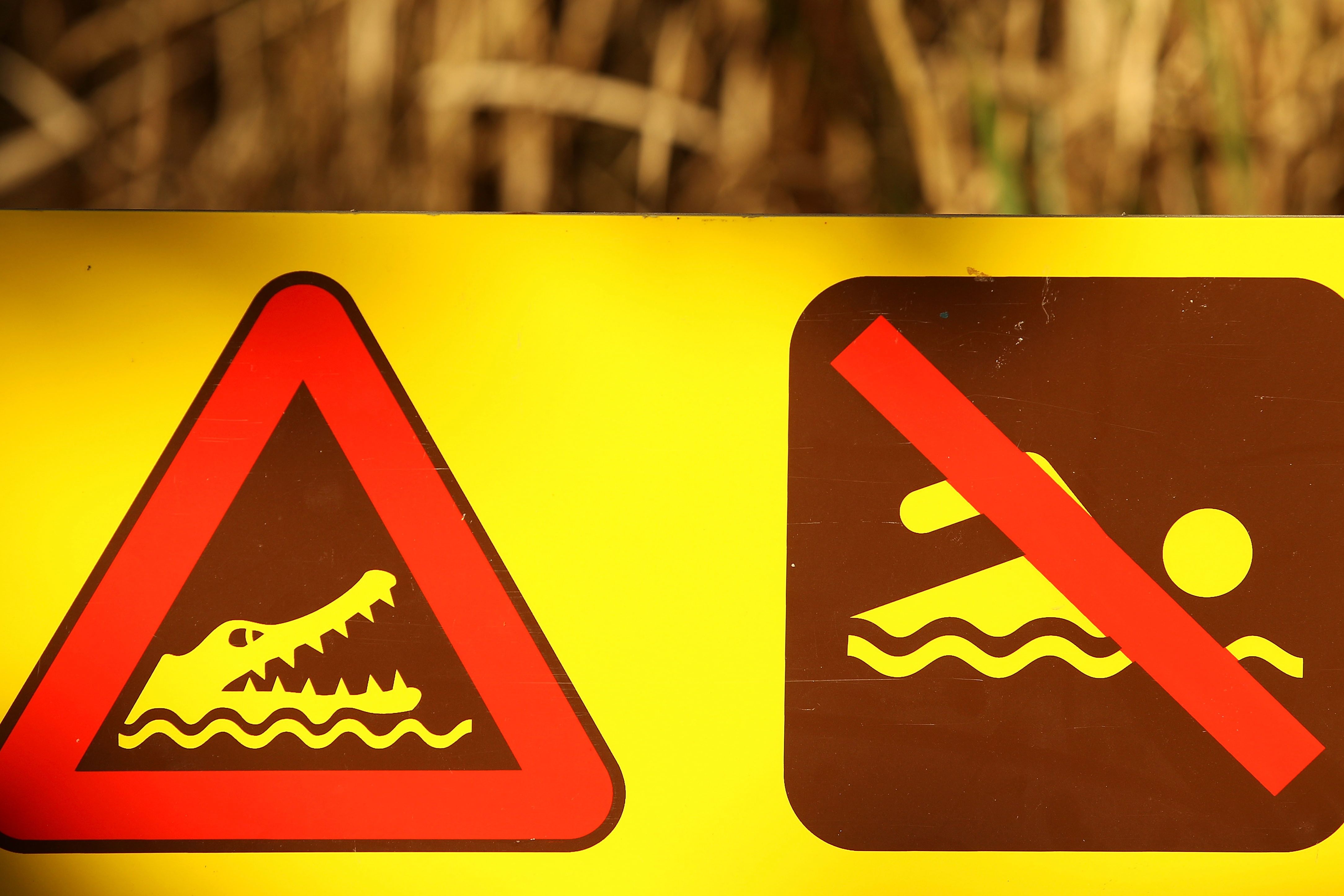 For the president who has everything... crocodile attack insurance ...