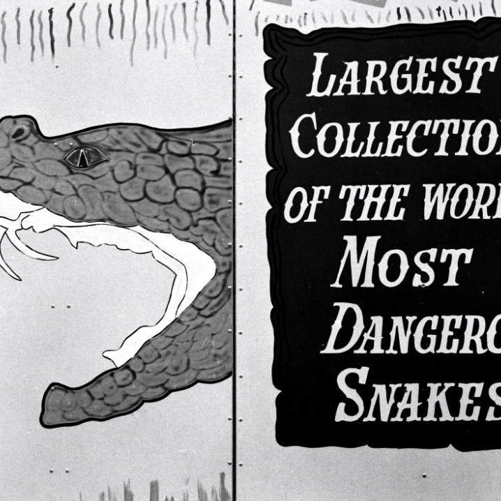 Chuck Palahniuk Talks Dangerous Writing - The World from PRX