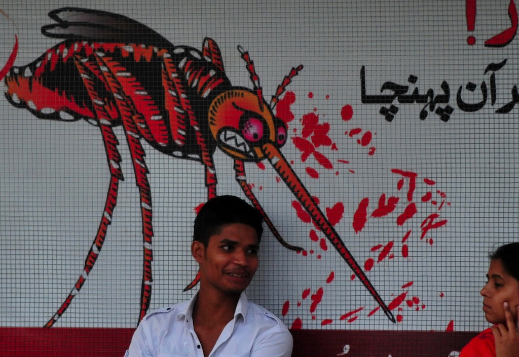 Dengue fever: A deadly, neglected tropical disease - The World from PRX
