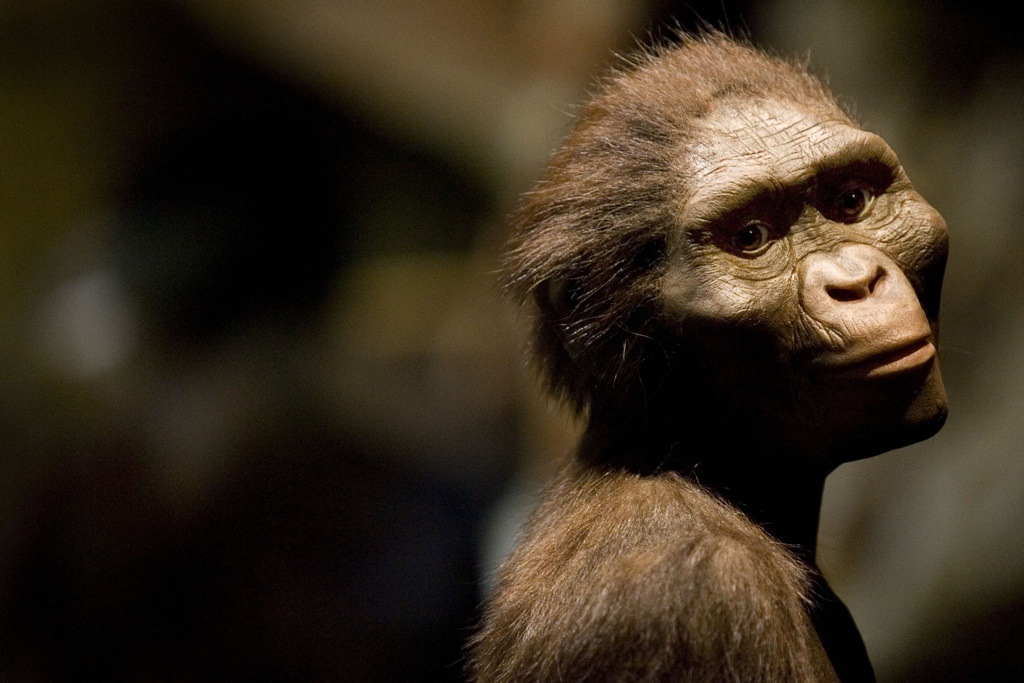 New Ethiopia fossil expands understanding of human origins - The World ...