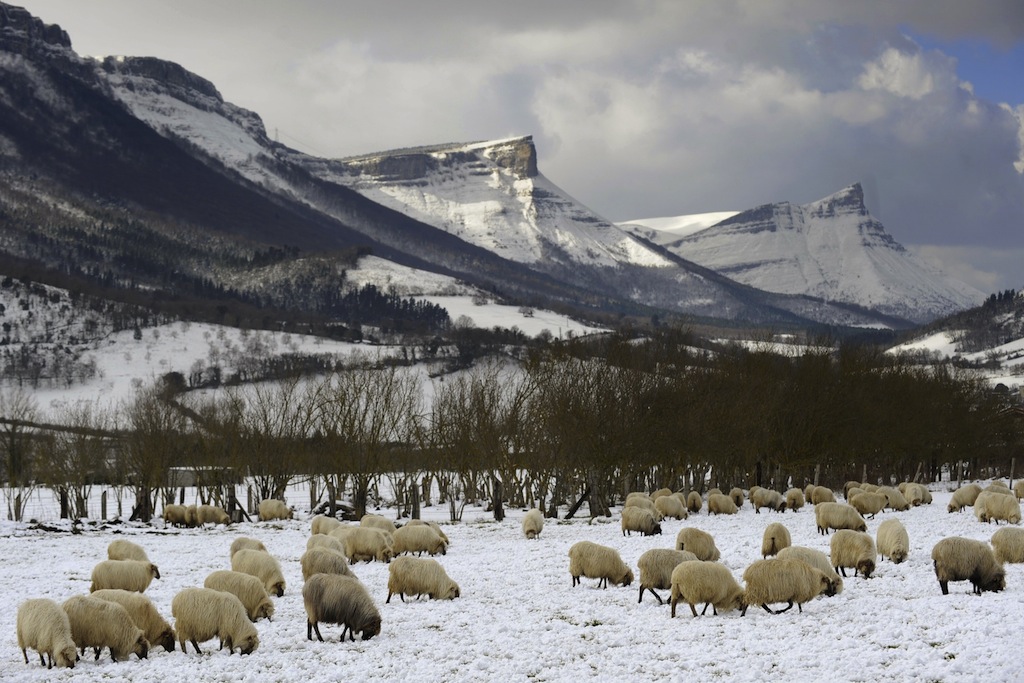 Russia reduces gas supplies to Europe amid deadly cold snap - The World ...