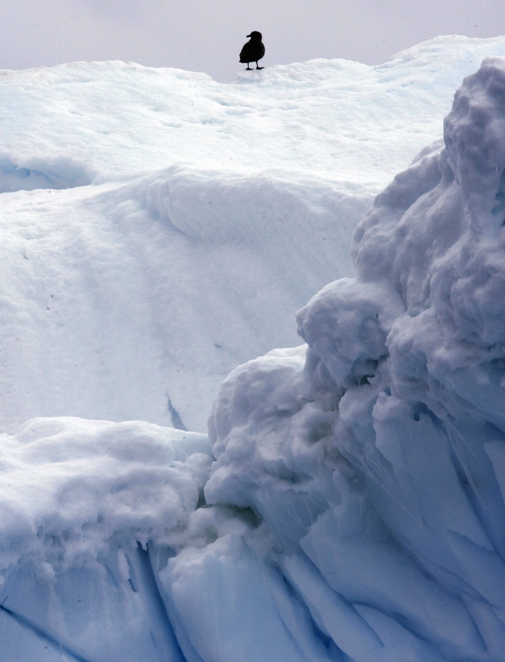 Ferrigno Rift: 'Grand Canyon' rift speeding up ice melt in Antarctica ...