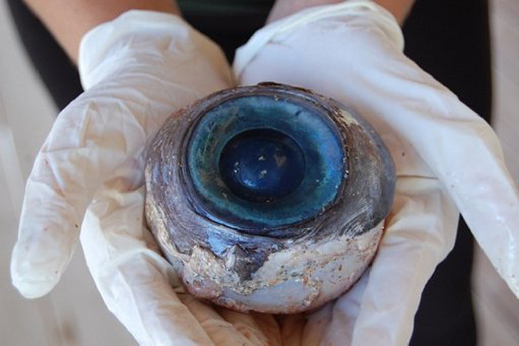 Japanese 'eyeball licking' trend could spread disease - The World from PRX