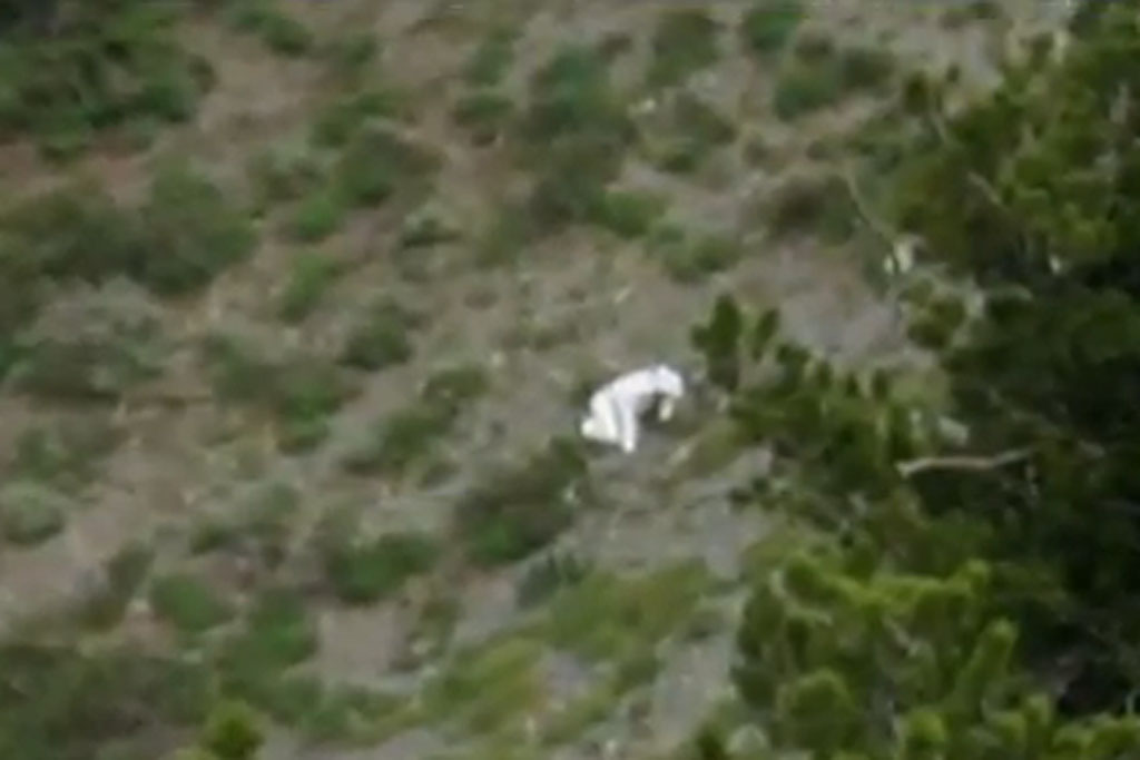 Utah's 'goat man' is a hunter, wildlife officials say - The World from PRX