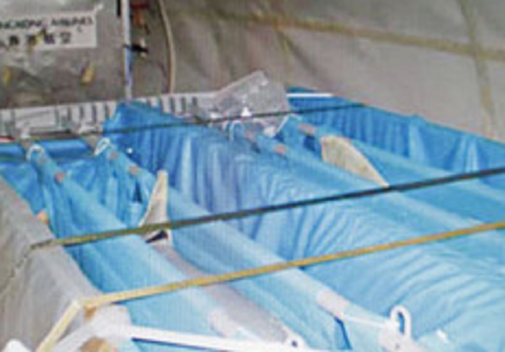 Online outrage over Hong Kong airlines' "flying coffins" for dolphins ...