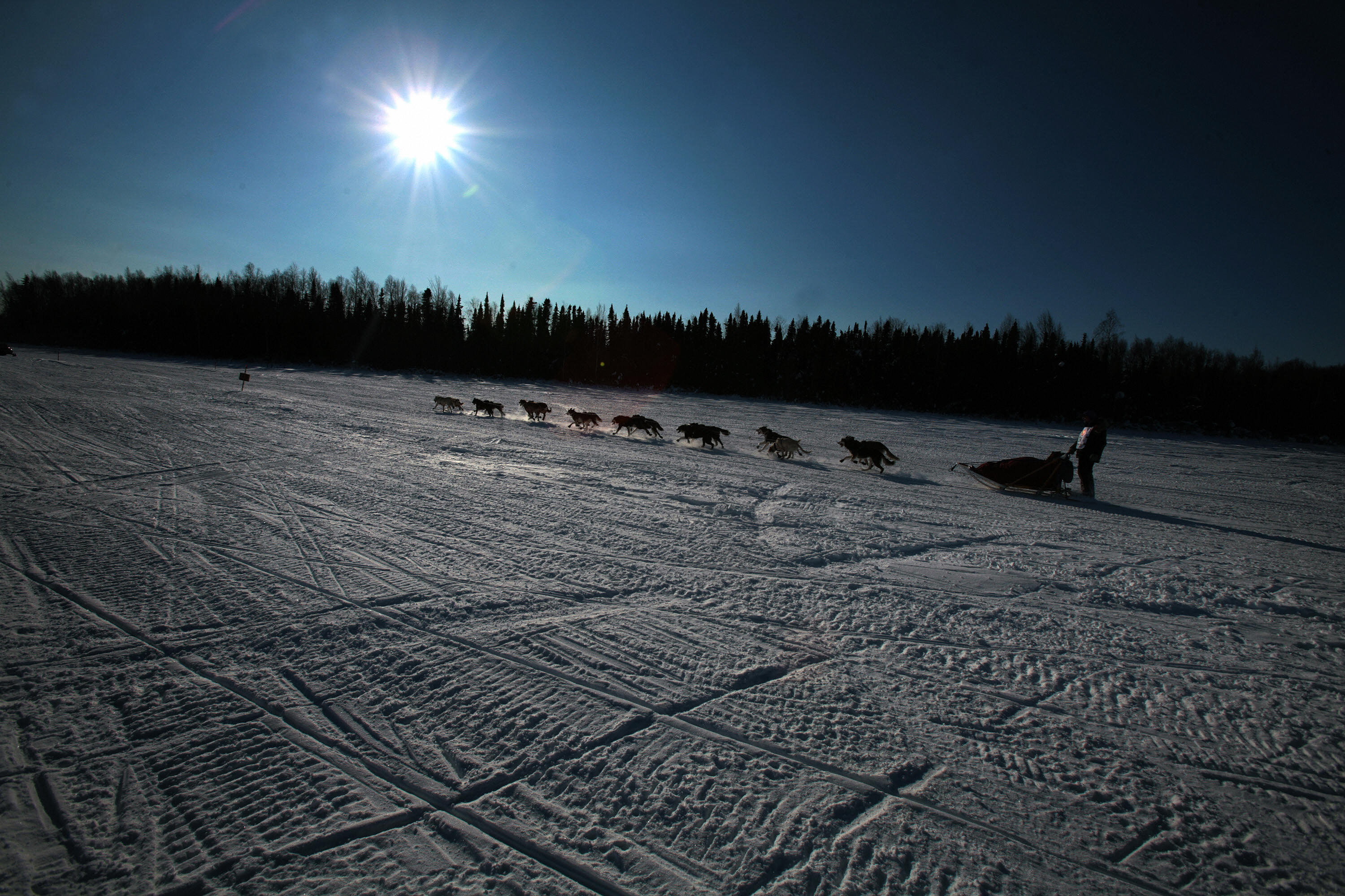 Iditarod: Mushers gear up in Alaska ahead of the start of the race ...