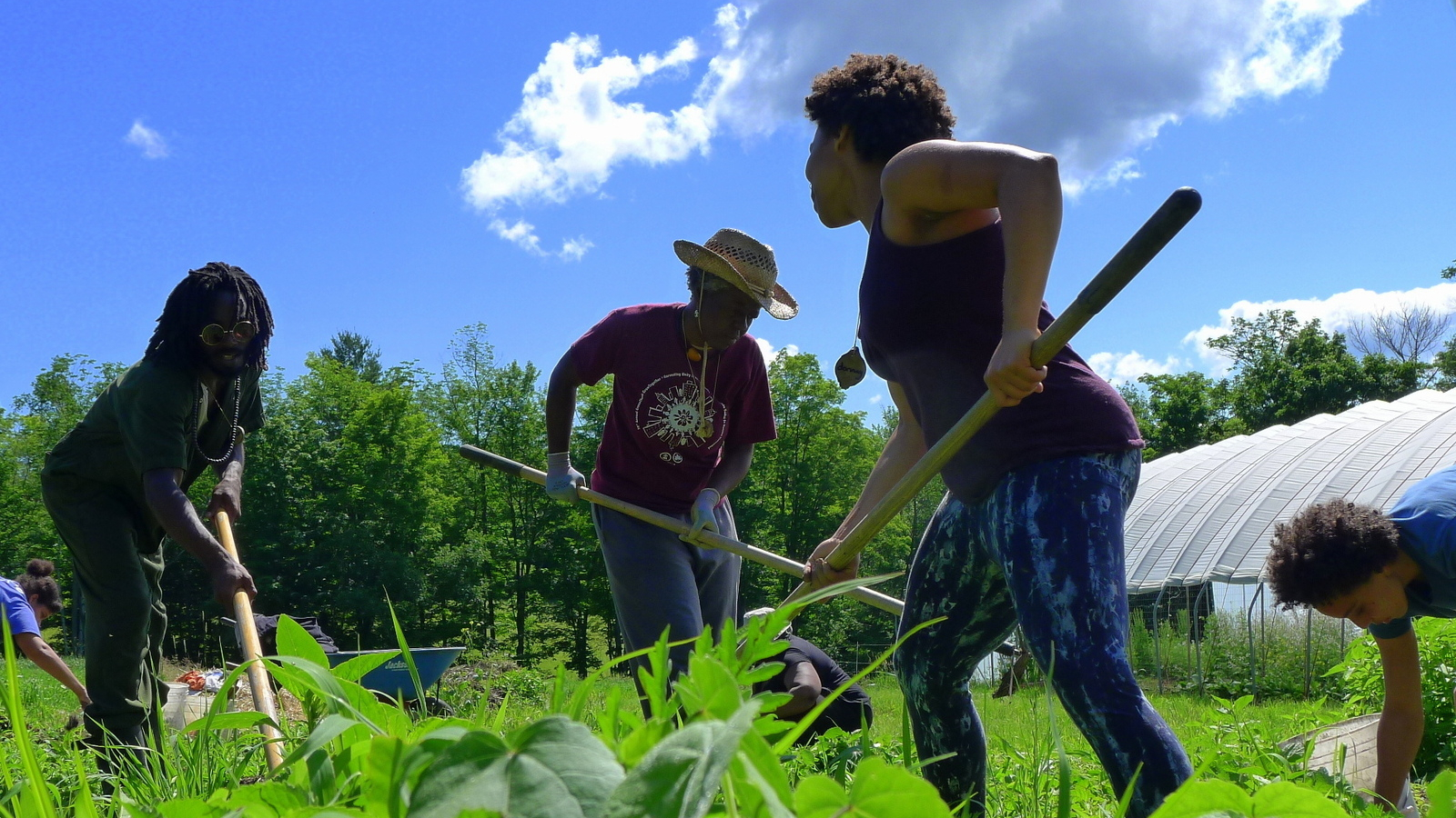 'Farming While Black': Cultivating food- and racial-justice in upstate ...