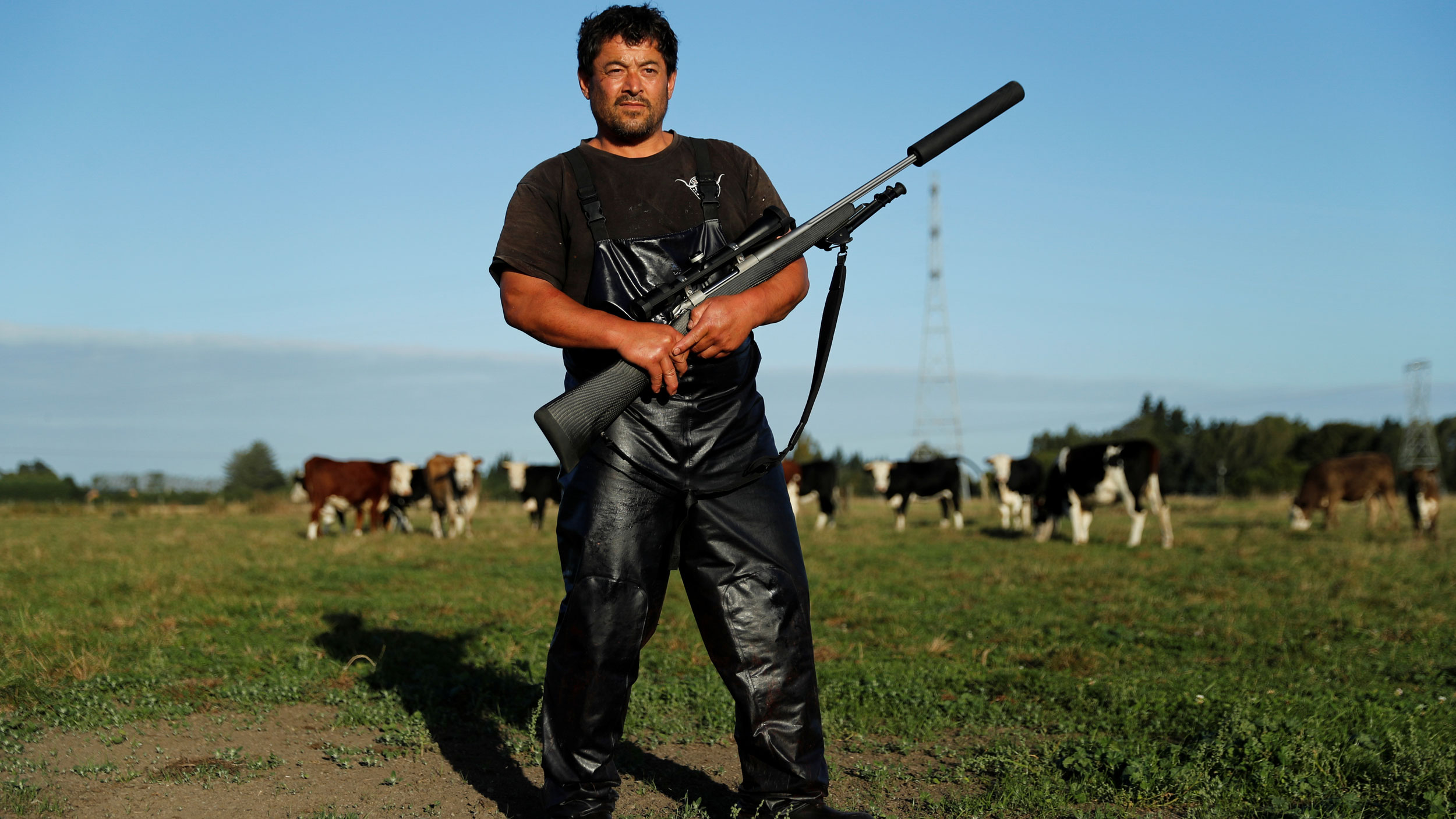 northwestasse - Blog