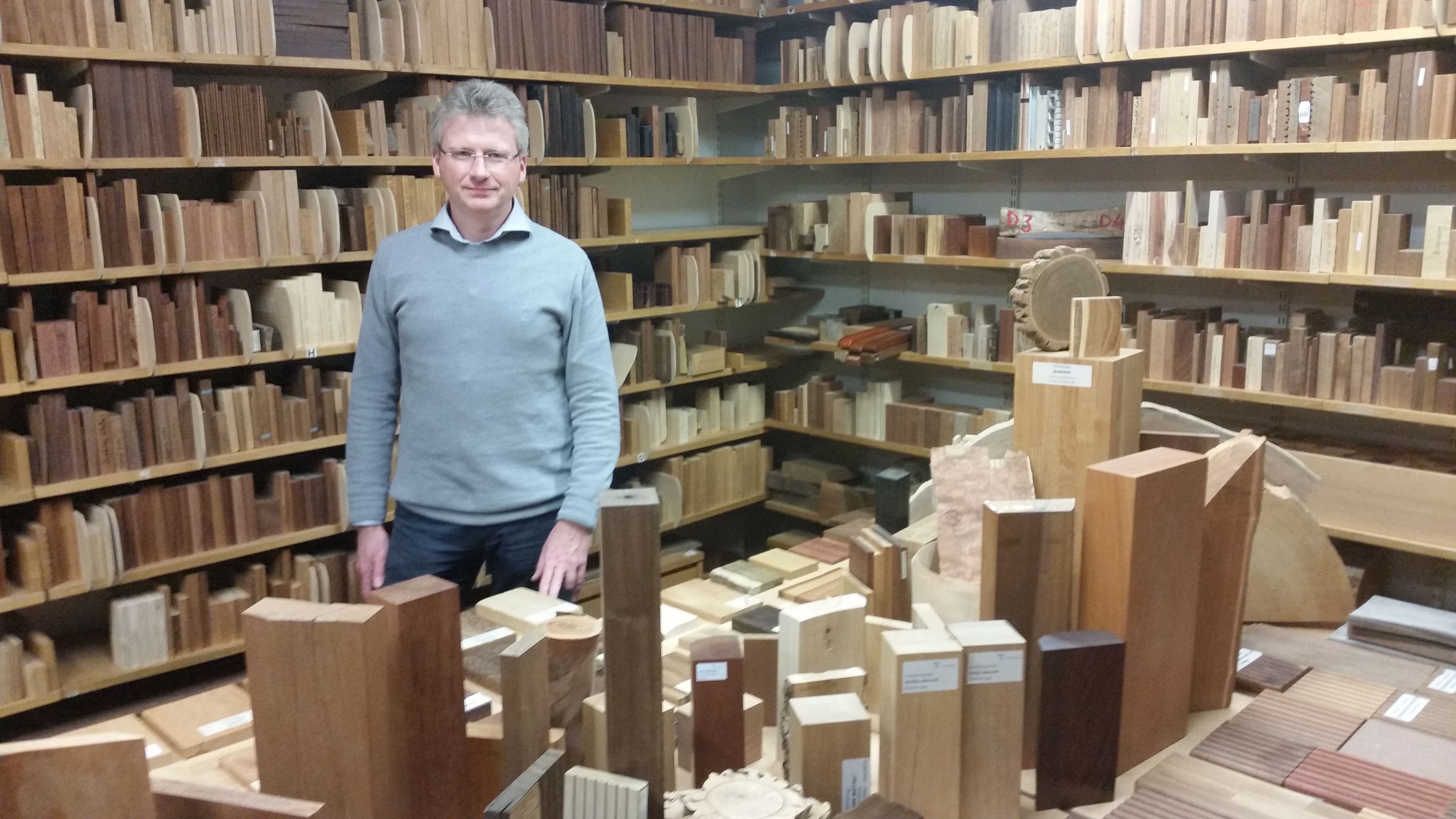 How German 'wood detectives' protect endangered species - The World ...