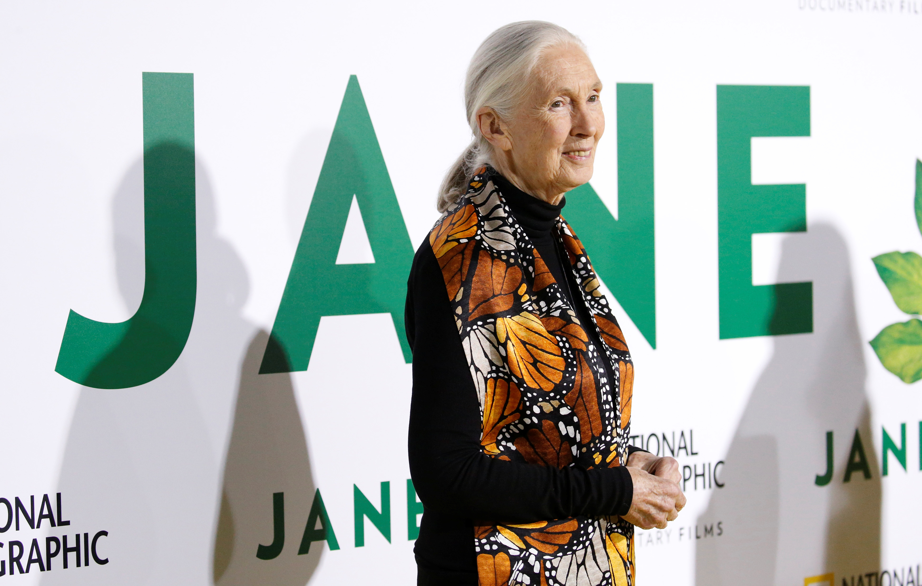 Dr. Jane Goodall on her work with chimpanzees, and the new documentary ...