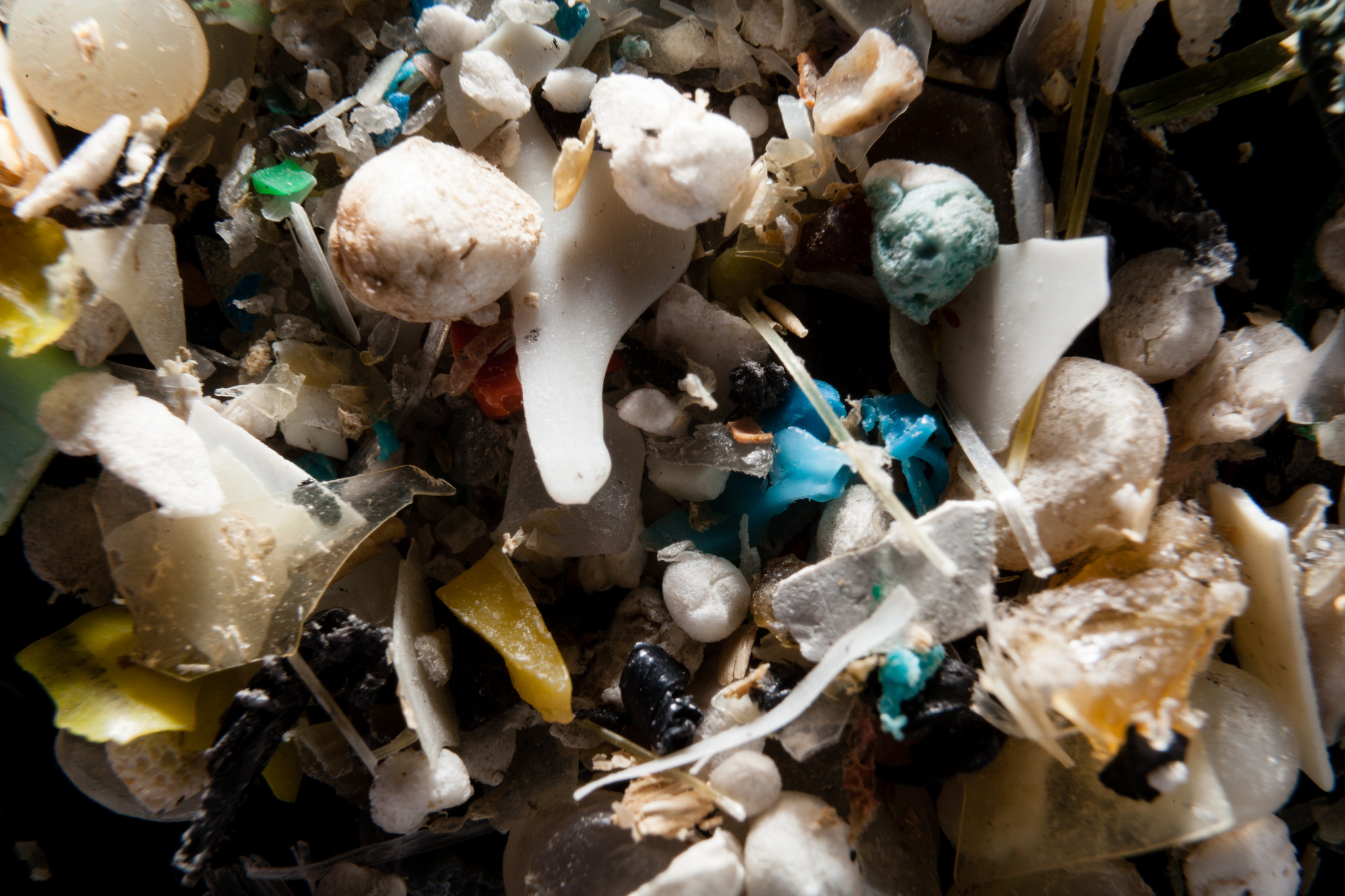 Microplastics have turned up in the remote Arctic Ocean, which means ...