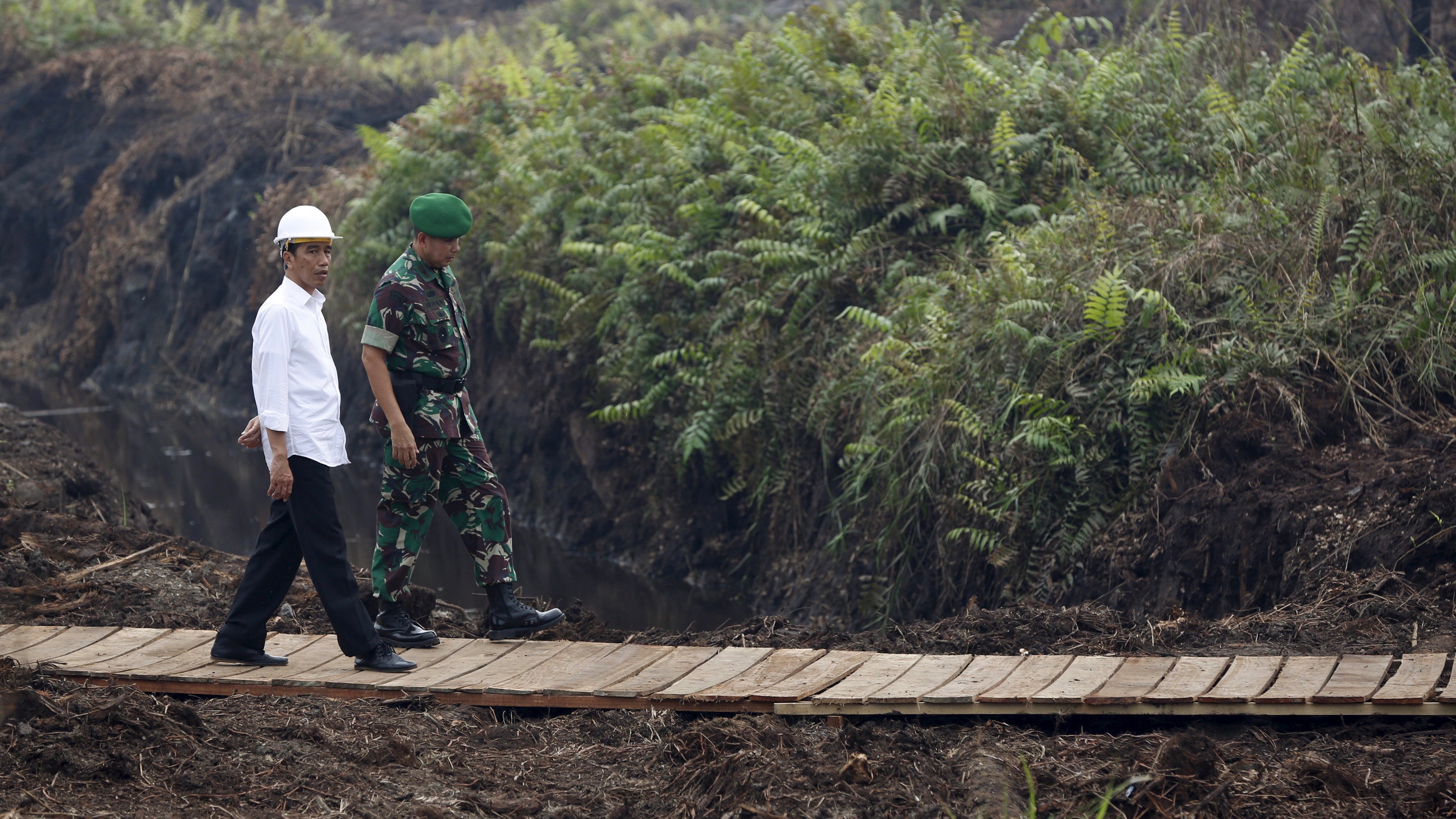 Indonesia’s bold plan: Moving its capital to an island paradise - The ...