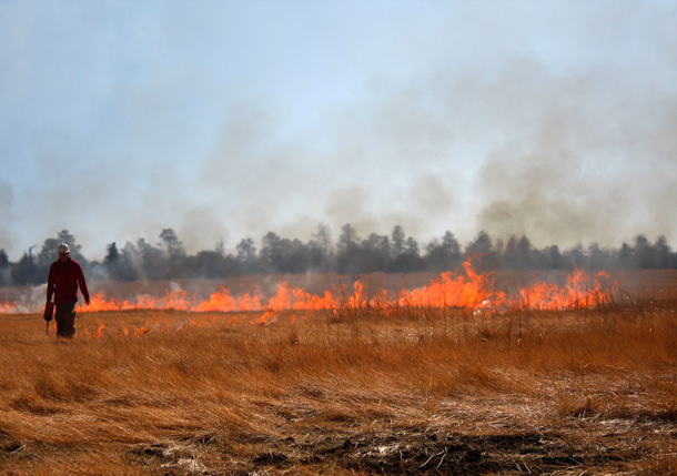 California must learn to fight fire with prescribed fire, experts say ...
