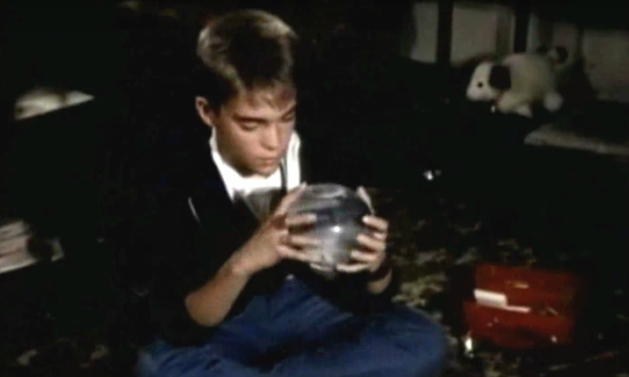 It’s Tommy Westphall’s Universe, We Just Live in It - The World from PRX