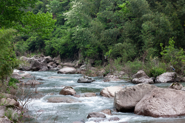 Joy in water: One family's life in the Chinese mountains of Tianmushan ...