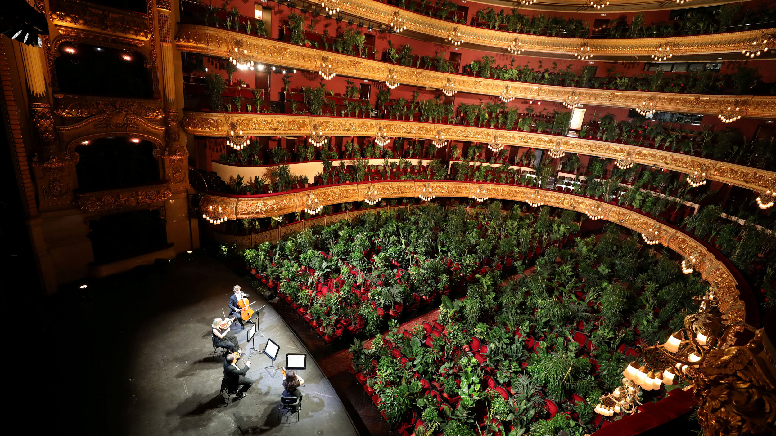 Barcelona opera reopens to full house — of plants - The World from PRX