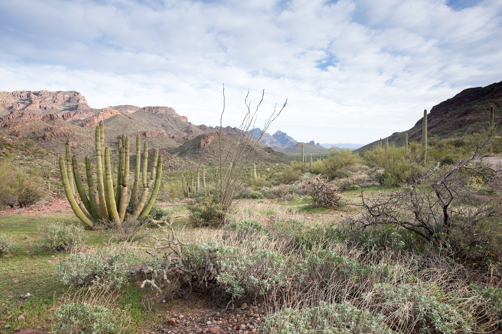 US-Mexico border wall threatens sacred Native lands - The World from PRX