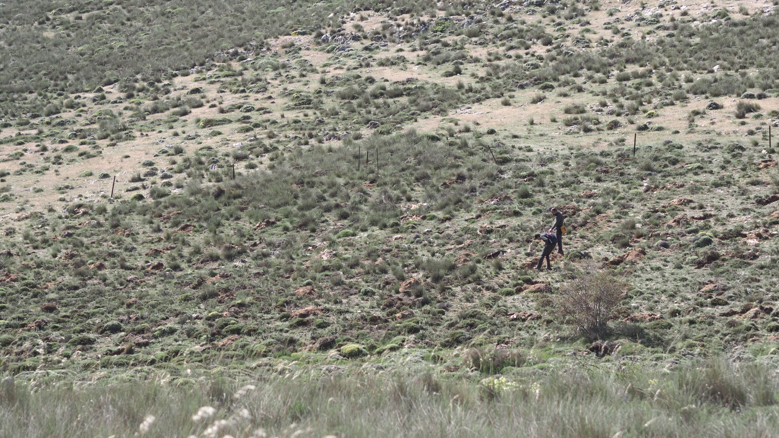 Southern Spain's green-belt project aims to stave off impending ...