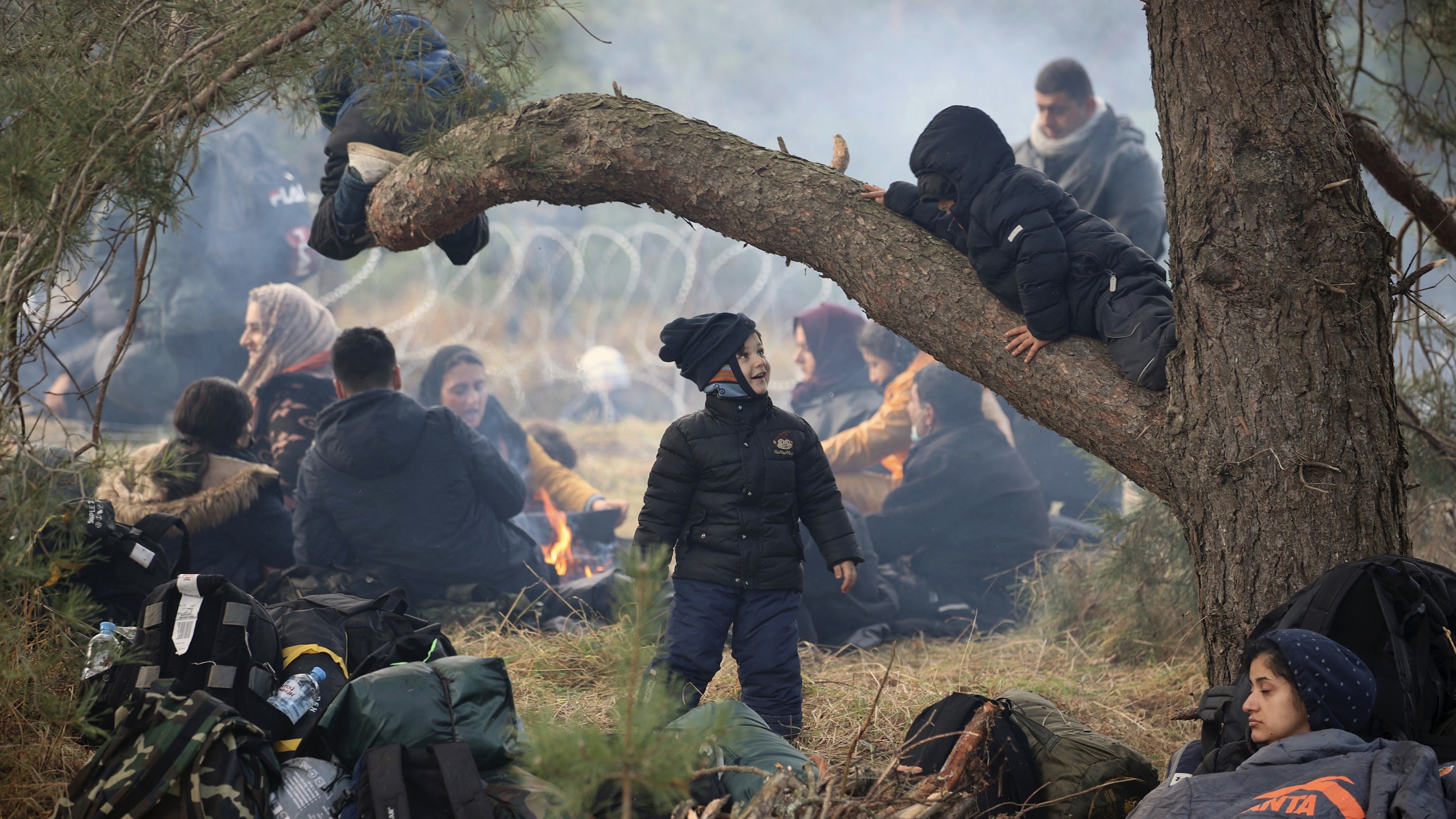 Polish border police push back migrants at Belarus border - The World ...