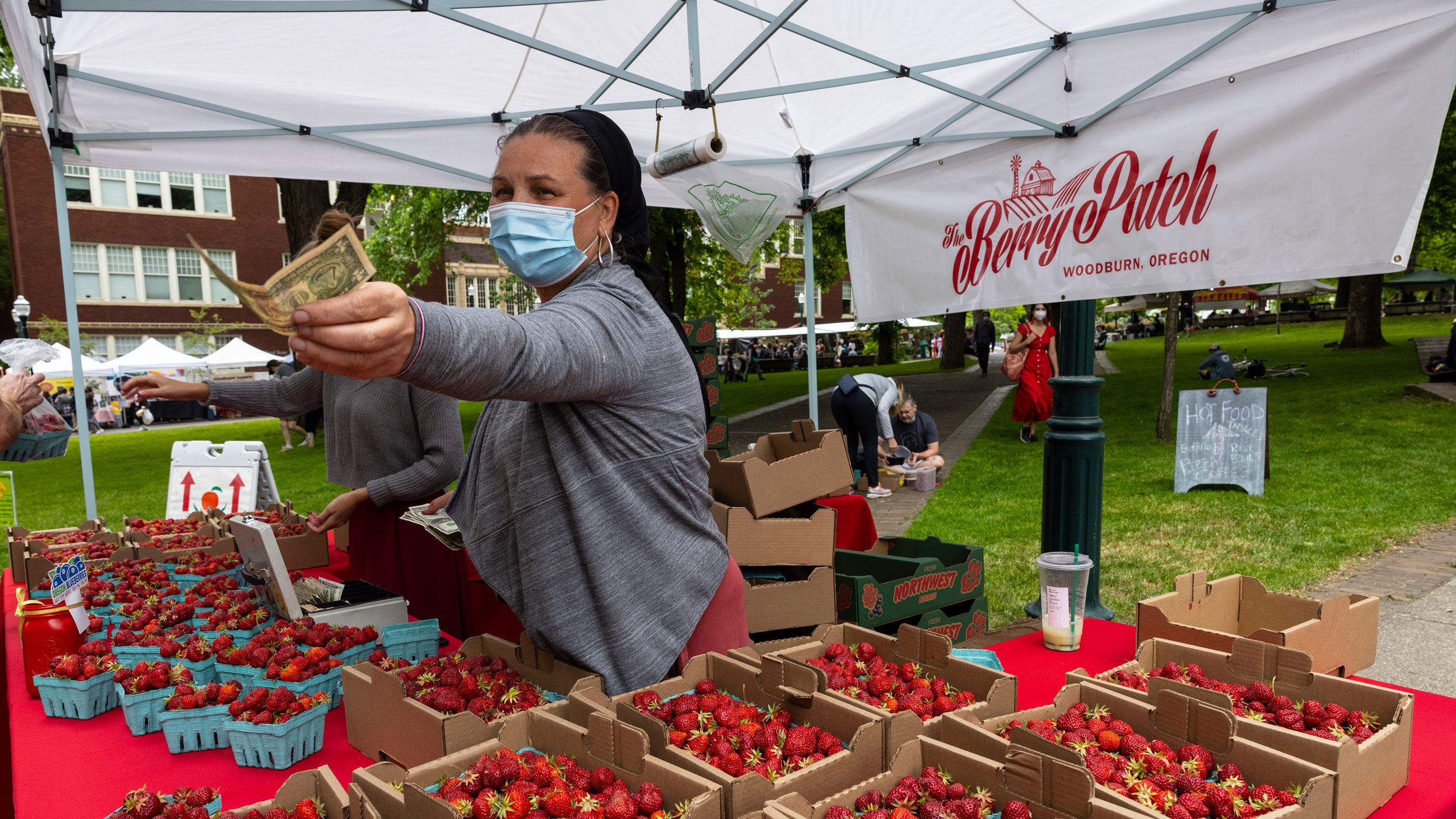 There's still time for canning, preserving and freezing excess fruits ...