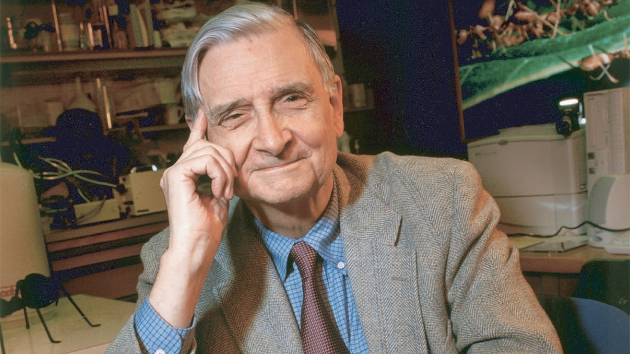 Remembering naturalist E.O. Wilson - The World from PRX