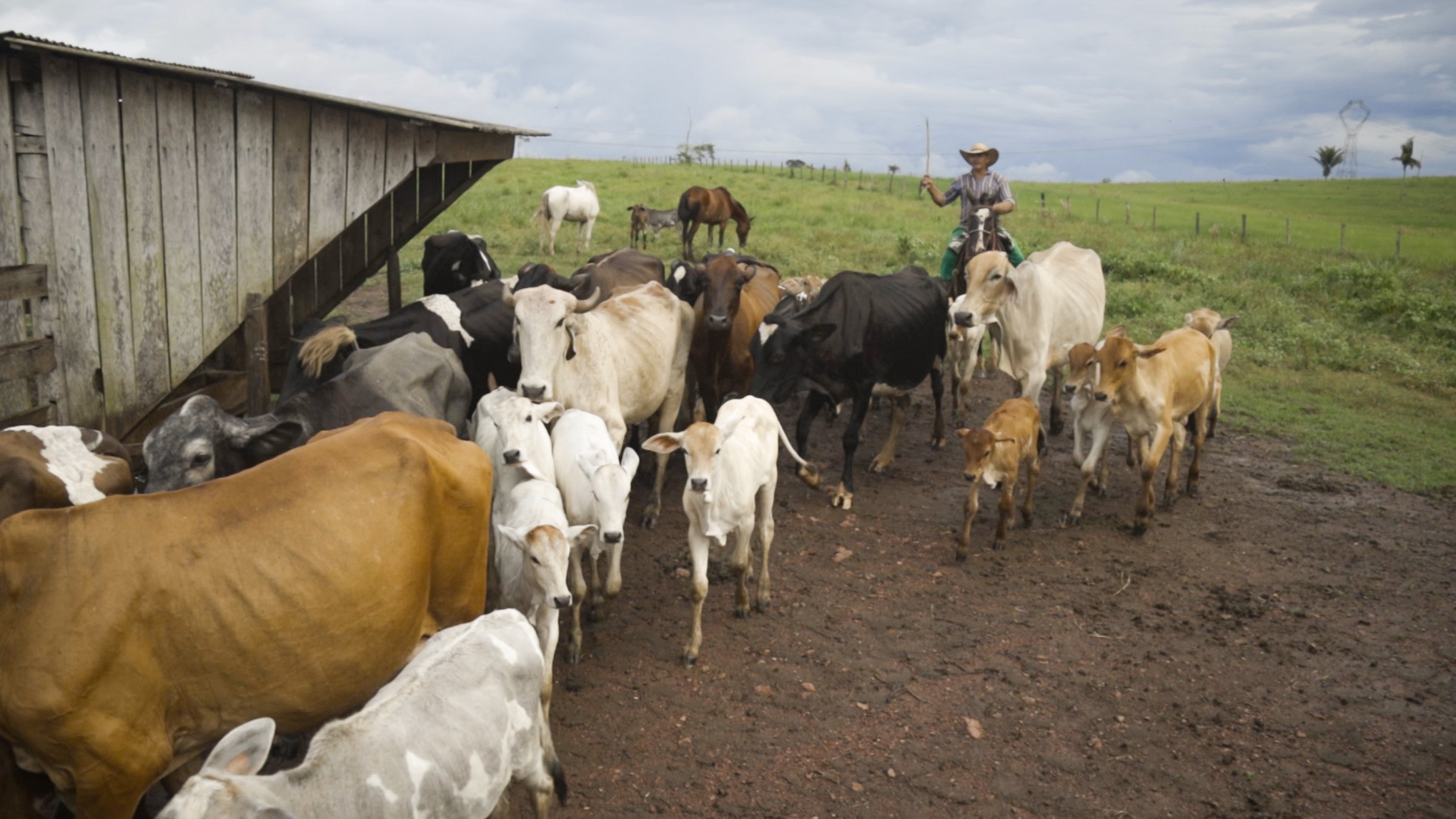 Lula promises sustainable development for the Amazon - The World from PRX