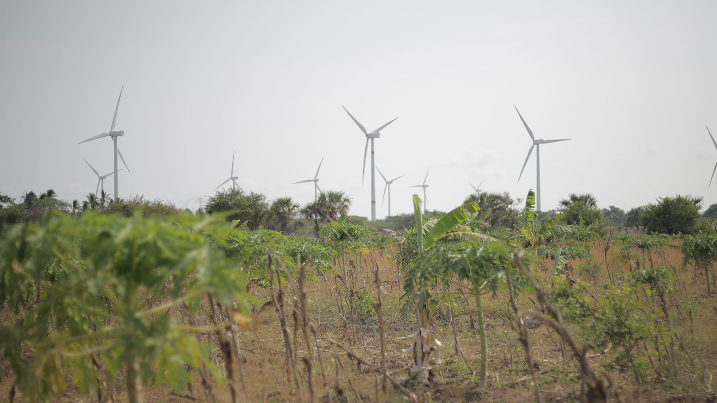 Mexico’s Interoceanic Corridor aims to rival the Panama Canal - The ...