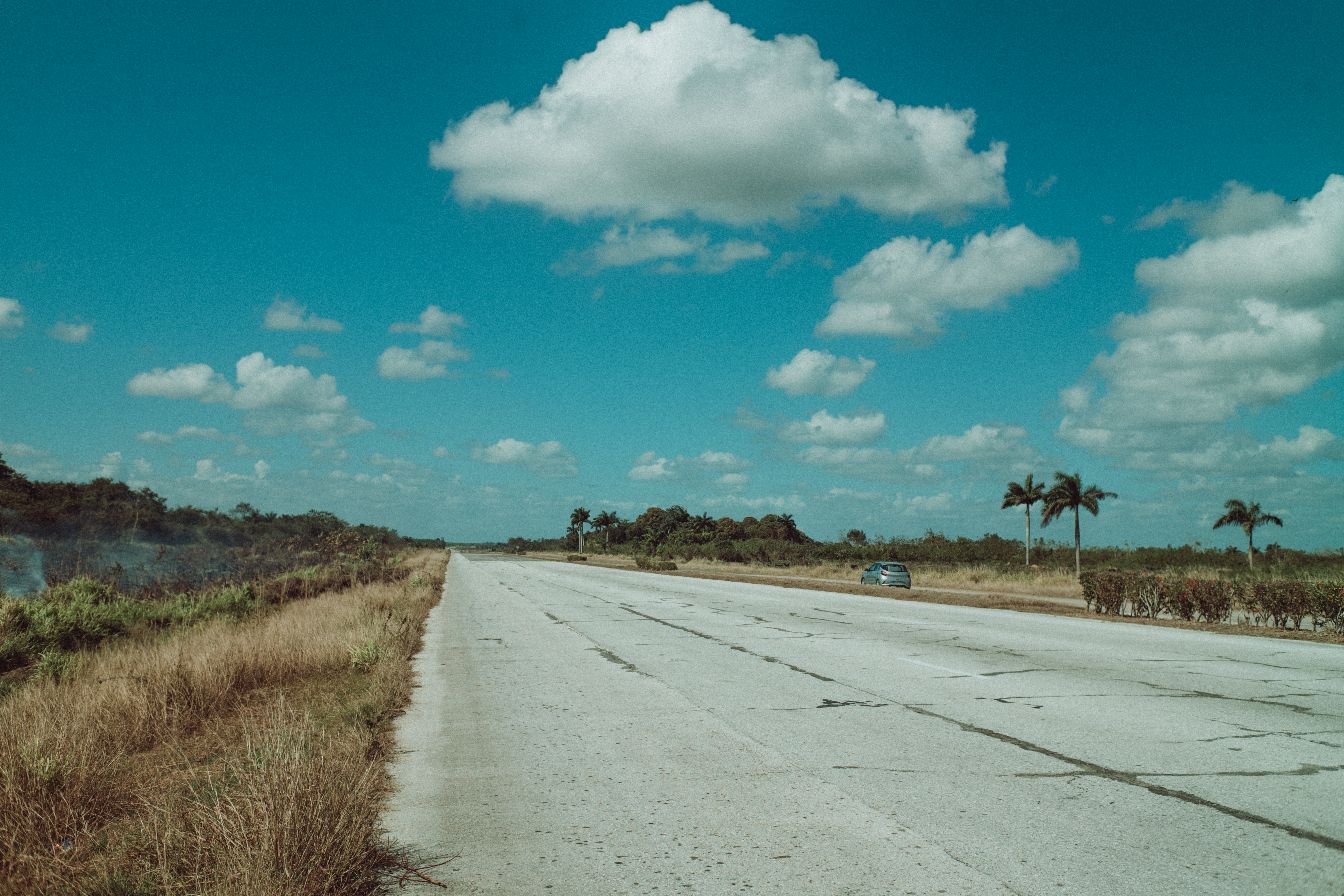 A Cuban filmmaker returns home to see his family during the island ...