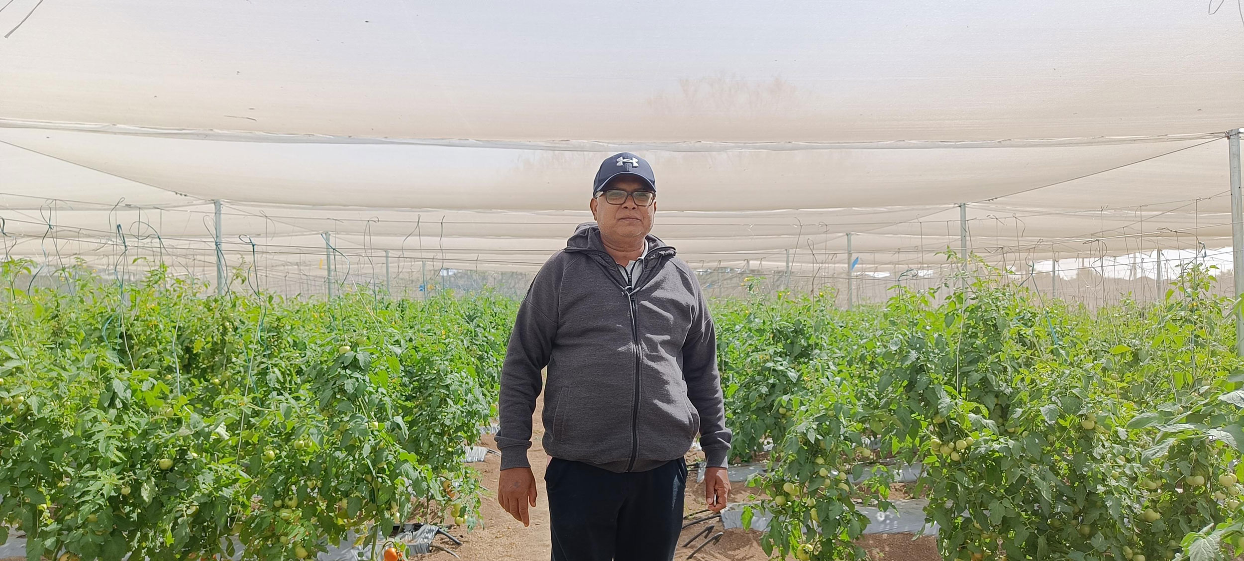 This greenhouse innovation helps farmers in India cope with climate ...