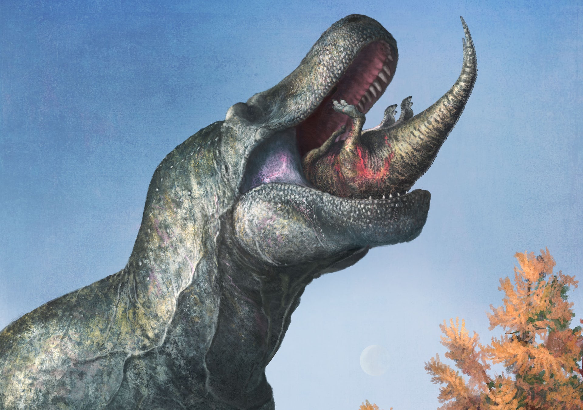 New research shows that T. rex had lips - The World from PRX