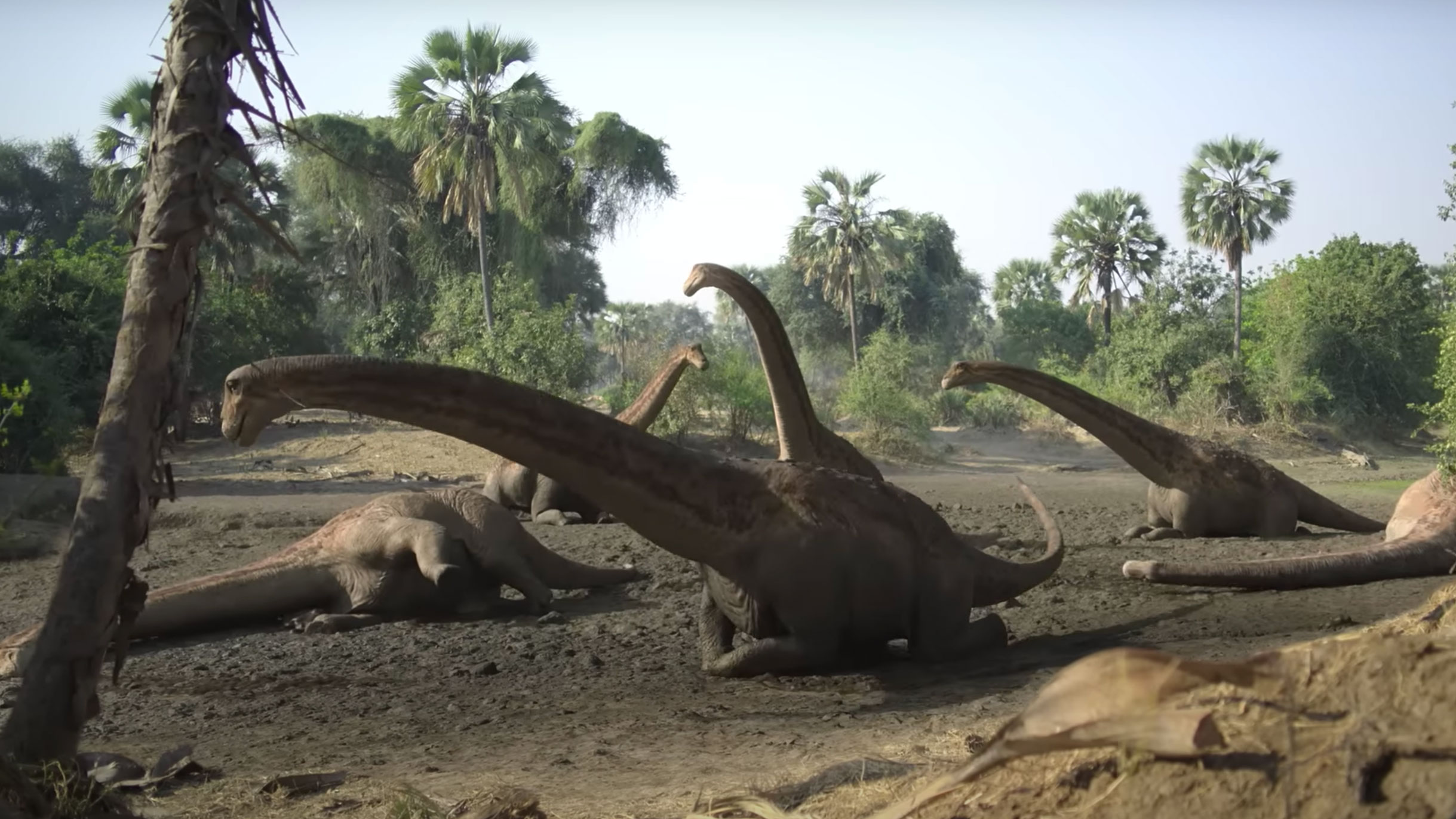 For ‘dinosaur music,’ prehistoric instruments set the tone - The World ...