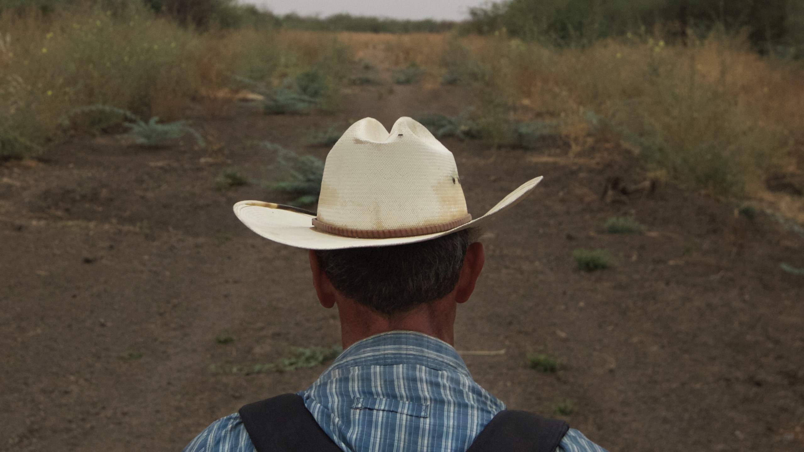 Out of Eden Walk: The first steps - The World from PRX