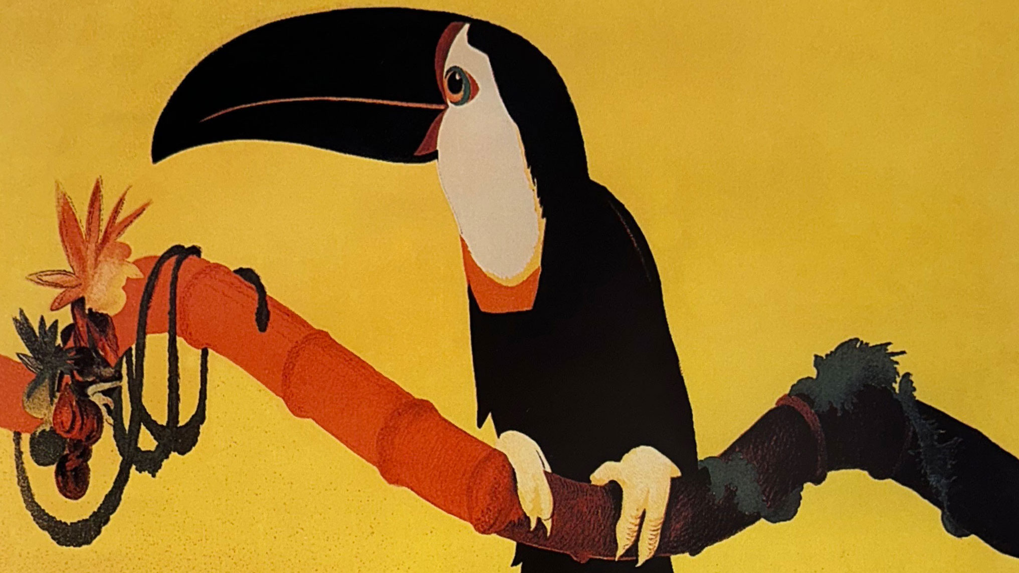 'Imaginary Amazon' exhibition counters negative stereotypes through ...