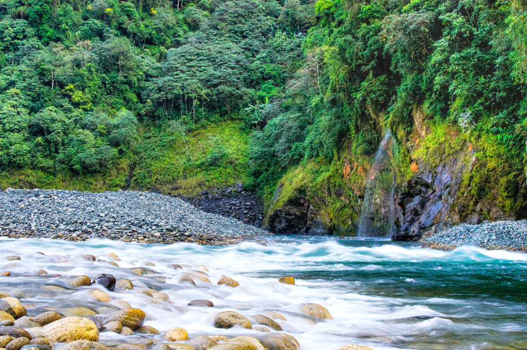 Part 2: The threat to the environment - The World from PRX